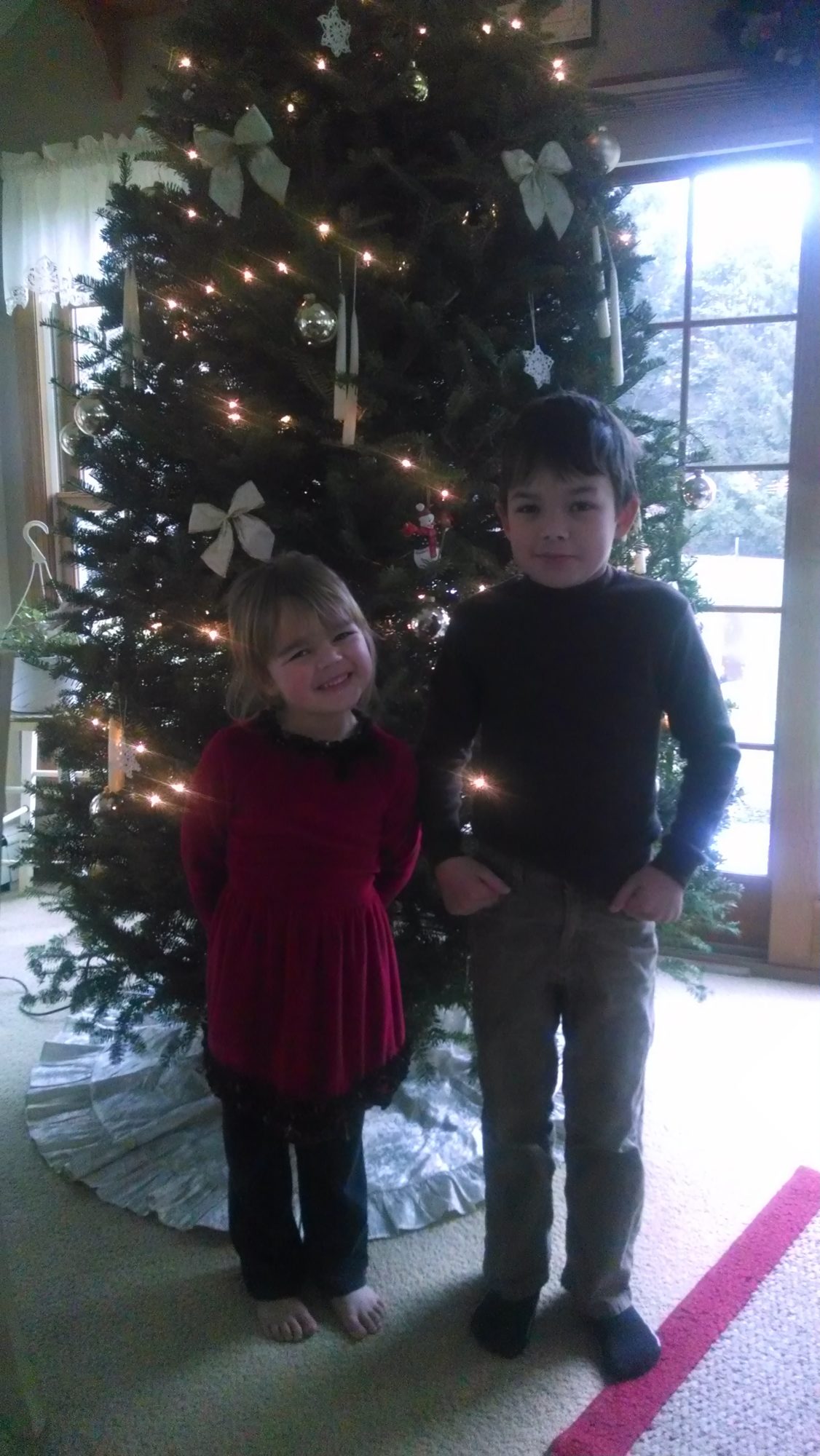 Christmas Tree Care Tips